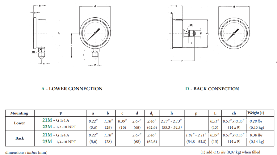 Pressure Gauge 10 Bar