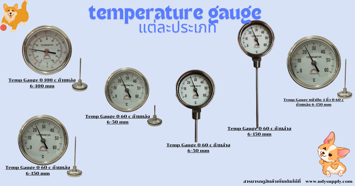 temperature gauge ประเภทต่าง ๆ ในอุตสาหกรรมที่คุณควรรู้