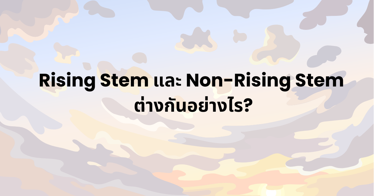 Gate valve Rising Stem และ Non-Rising Stem ต่างกันอย่างไร?